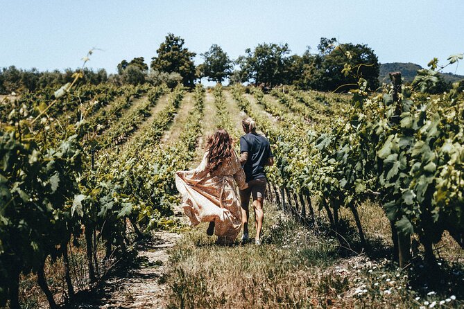 Provence Wine Tour - Small Group Tour from Cannes - Who Will Enjoy This Tour?