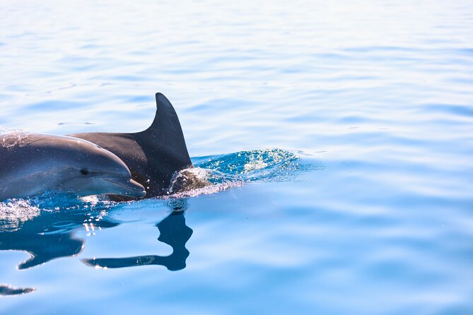Pula Private Sailing Tour: 4-Hour Customizable Sail, Snorkel, SUP - The Itinerary in Detail: Why It Works