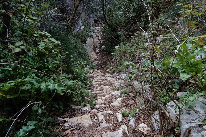 Pulo di Altamura: excursion in the Alta Murgia National Park - Who Will Enjoy This Tour the Most?