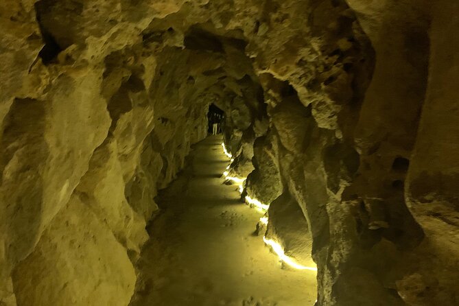 Quinta da Regaleira and Sintra visit half day private tour - Authentic Insights from Reviewers