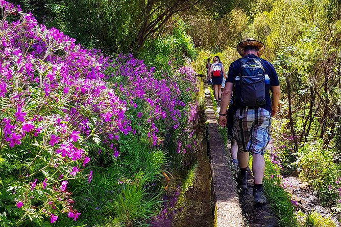 Rabaçal 25 Fontes Levada Walk in Small Groups - The Experience on the Ground