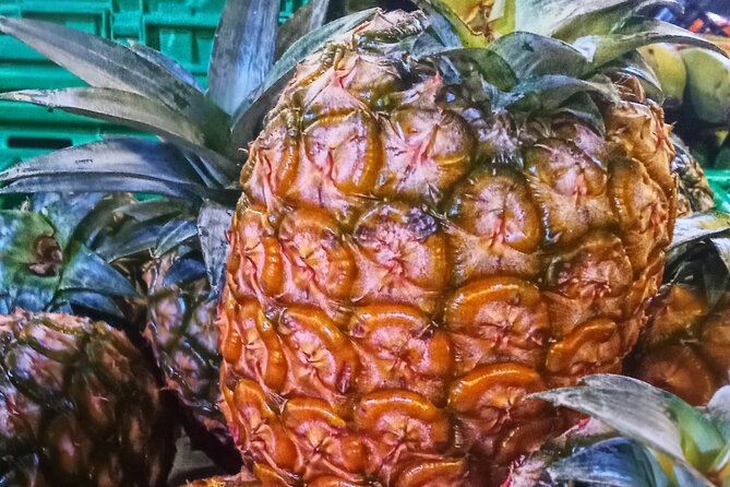 Regional food experience in Ponta Delgada - What Travelers Say: Authentic Experiences and Great Guides
