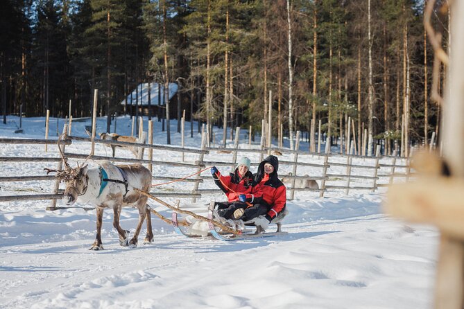 Reindeer Experience with Sledge Ride - Authenticity and Overall Experience