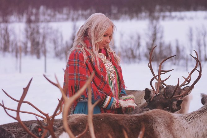 Reindeer Sledding and Feeding with Sami Culture in Tromso. - FAQs