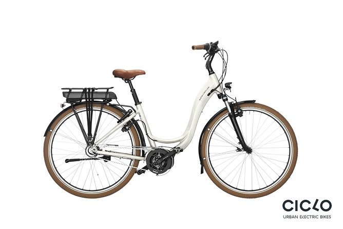 Rent an Electric Bike with Bosch motor - Who Should Consider This Electric Bike Rental?