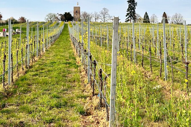 Rhine Valley Wine Tasting Tour from Frankfurt and Mainz - FAQs