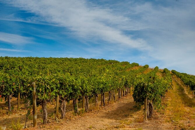 Rhodes Wine & Food Tour: 10 Meal Course Lunch, Wine Tasting, Cooking Class - Final thoughts