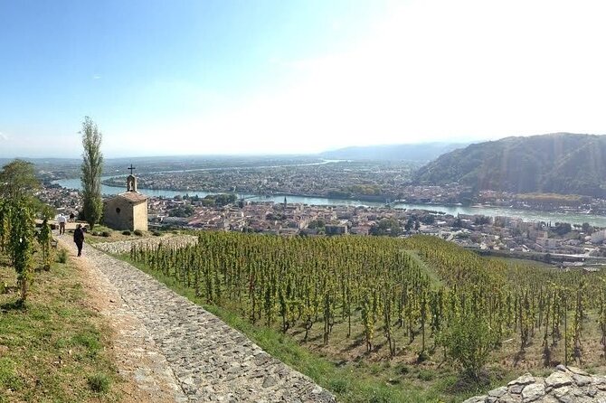Rhône Valley Wine & Chocolate Tasting Private Day Tour from Lyon - Who Will Get the Most Out of This Tour?