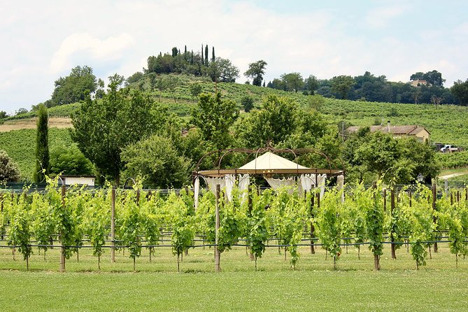 Romantic Lunch in the Vine Rows in Tuscany - Final Thoughts