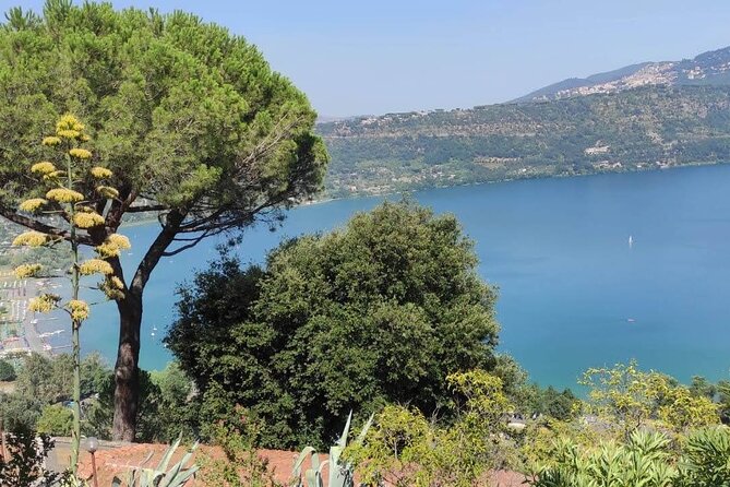 Rome: Castelli Romani Day Trip by Train and E-Bike - Practical Considerations