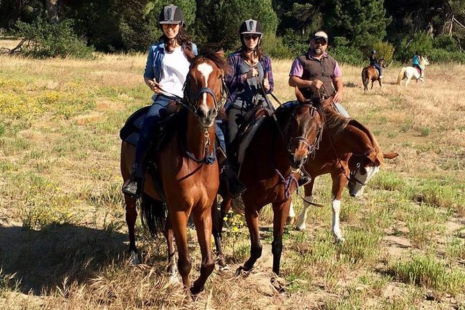 Rome : Horseback Riding with meals and wine included - Accessibility and Practical Tips