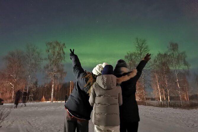 Rovaniemi: Aurora Hunting & Photography Tour - Who Would Love This Tour?