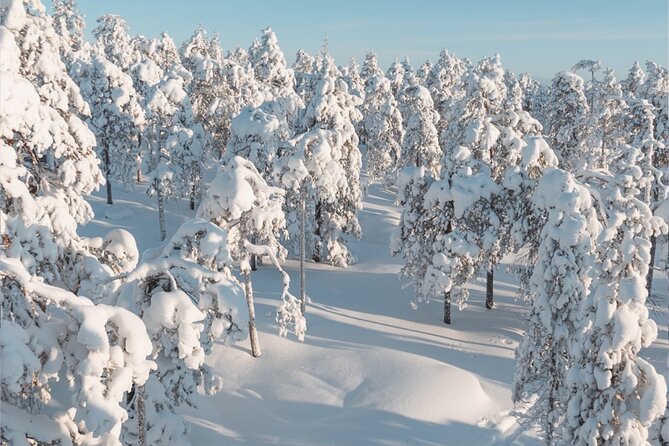 Rovaniemi: Winter Wonderland Vikaköngäs Hiking Tour & BBQ - Real Experiences: What Travelers Say