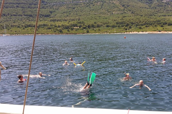 Sailing day trip on Tall Ship Andrea Jensen with Lunch and Wine - Who Will Love This Tour?
