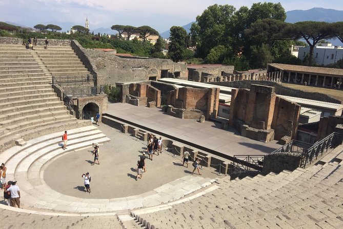 Salerno Shore Excursion: Private Pompeii Tour - Who This Tour Is Best For