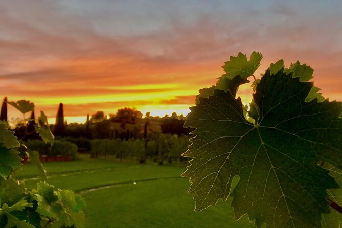 San Gimignano Wine Tour and tuscan appetizer for small group - Frequently Asked Questions (FAQs)