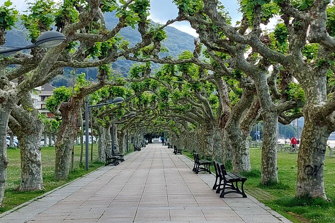 Santoña: Anchovy Factory & Boat Trip with tickets-small groups - Final Thoughts: Who Is This Tour For?