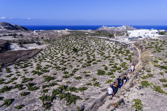 Santorini : Cooking Class & Easy Hike - Authenticity and Atmosphere: What It Feels Like
