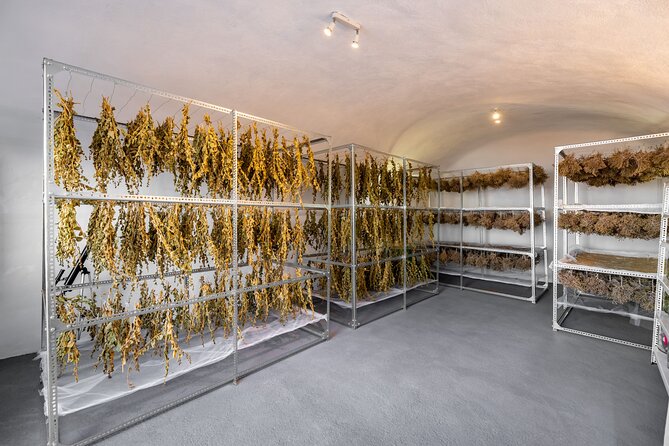 Santorini: Private Agri-Educational Visit to an Organic Farm - Learning from the Farm’s Agronomist