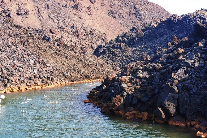 Santorini Volcanic Islands Cruise: Volcano, Hot Springs and Thirassia - In-Depth Breakdown of the Experience