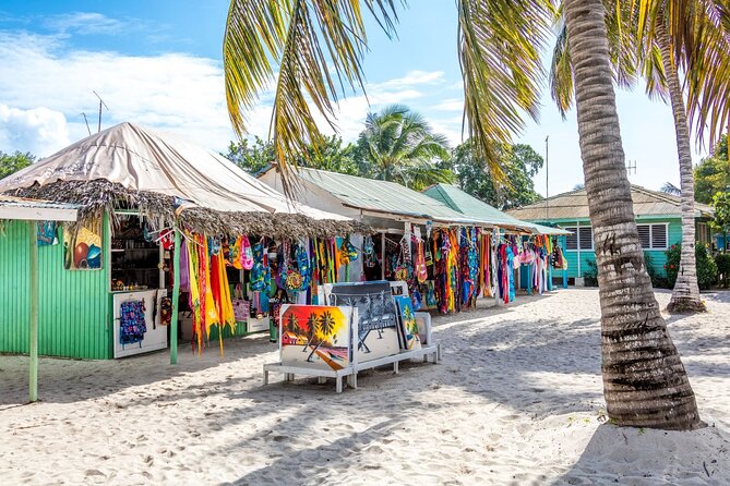 Saona Island Cruise & Private Beach - Overall Value and Considerations