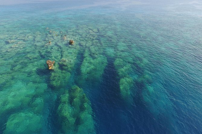 Scuba Diving in Kas for Certified Divers incl. All Equipments - The Experience’s Overall Value