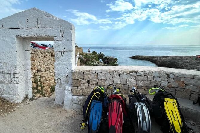 Sea Baptism Scuba Experience in Polignano a Mare - The Sum Up: An Excellent First Step Into the Underwater World