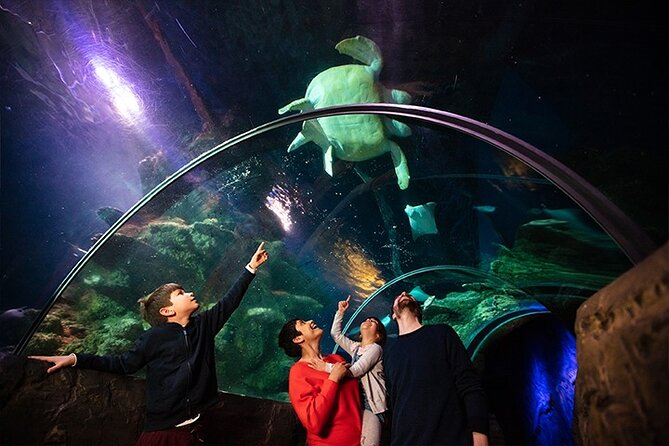 SEA LIFE London Aquarium Admission Ticket - Practical Details: What to Expect