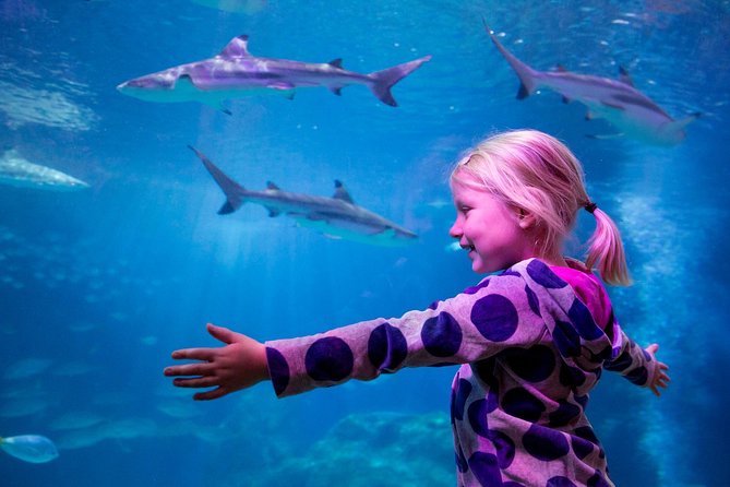 SEA LIFE Oberhausen Admission Ticket - Final Thoughts