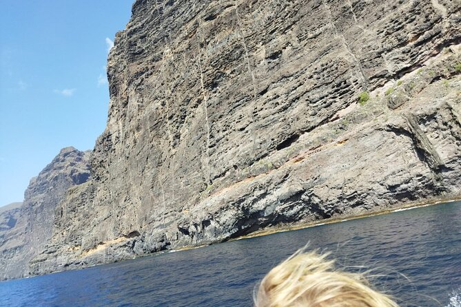 SEA SAFARI Dolphins, Whales, 3h speedboat DISCOVERY-TOUR - Frequently Asked Questions