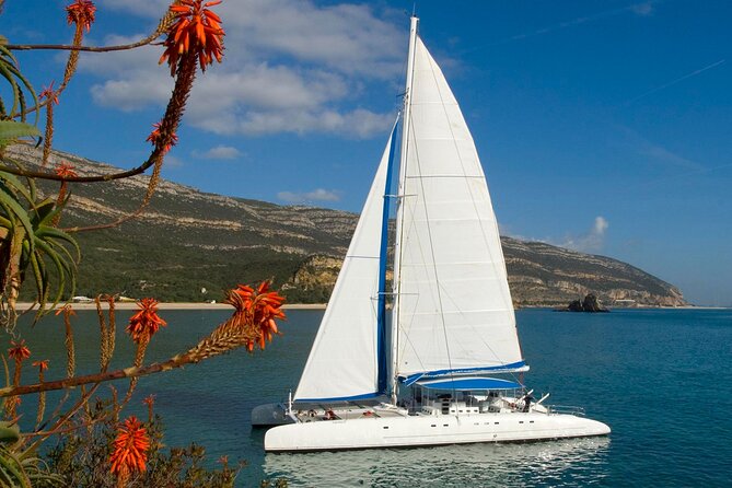 Setúbal Private Tour - Including Dolphin Watching - Final Thoughts
