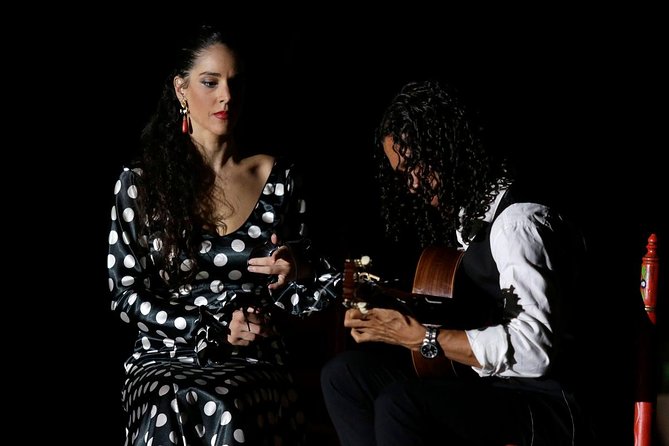 Seville Pure Flamenco Tour - The Sum Up