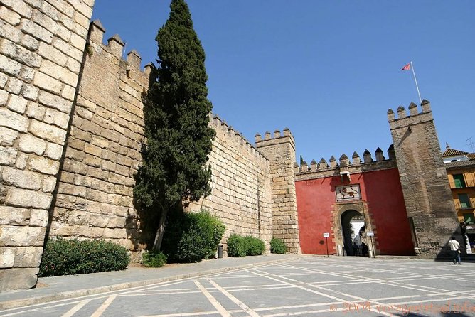 Seville Tour with Alcazar, Cathedral and Giralda from Granada - FAQ: Your Practical Questions Answered