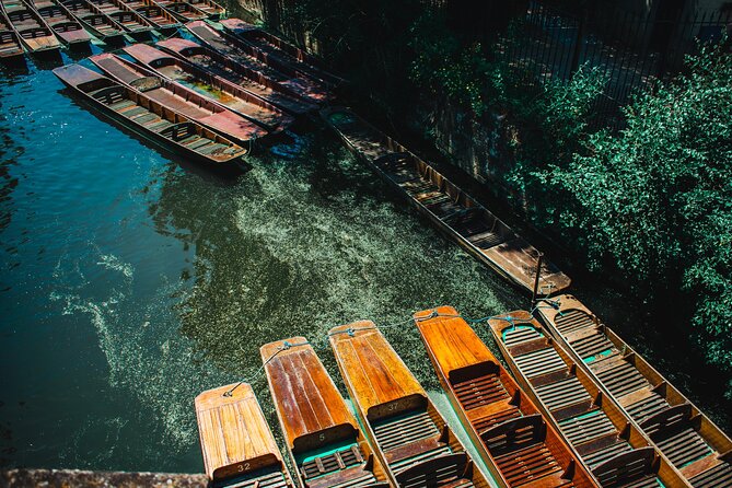Shared | Oxford University Punting Tour - What Do Travelers Say?