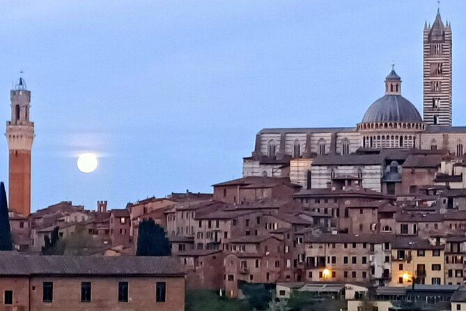 Siena Underground Wine tasting in a Medieval Cave - Practical Details and Tips