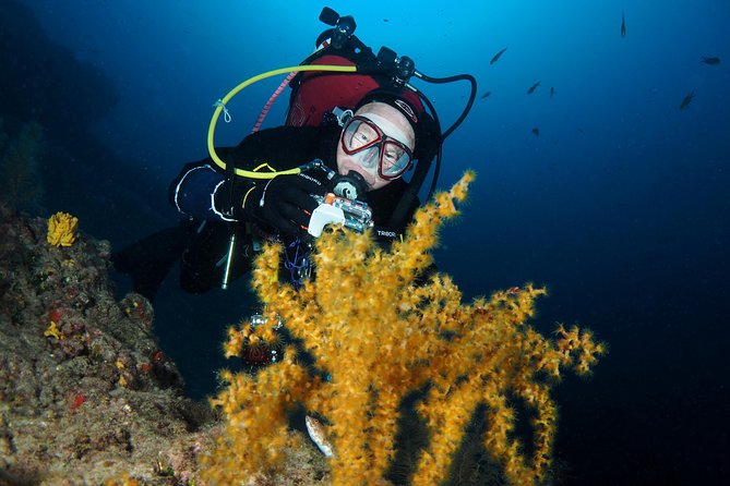 Single Dive for qualified divers from shore, region Puerto del Carmen. - Who Would Love This Tour?