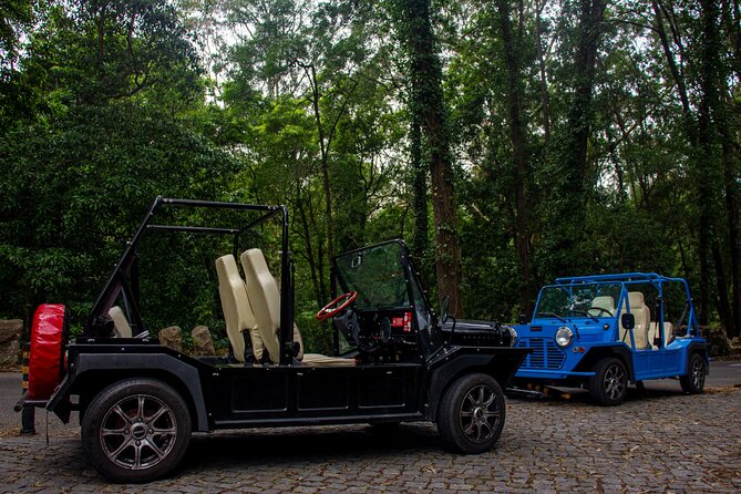 Sintra Tuk Tuk (Electric) 4-5 hours tour - Who Would Enjoy This Tour?