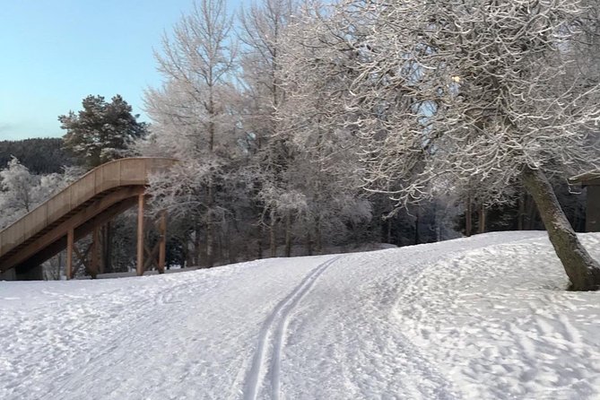 Skiing in winter wonderland - Who Should Book This Tour?