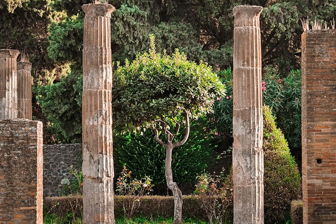 Skip the line Pompeii guided tour from Sorrento - Practical Aspects to Consider