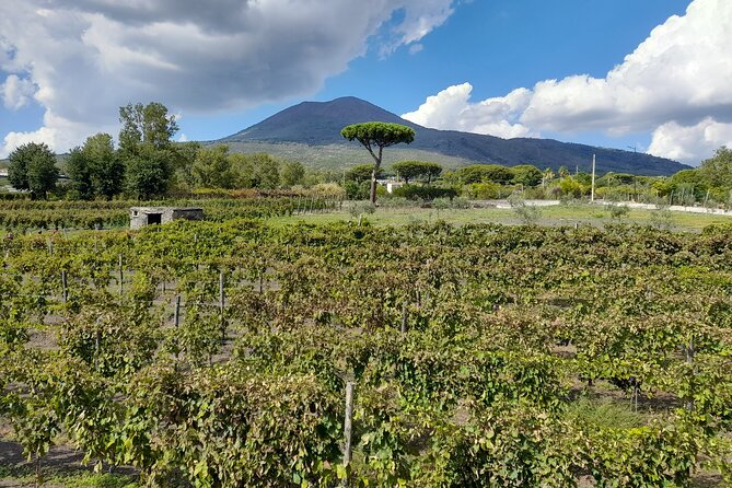 Skip-The-Line Tickets VIP Small Group Tour To Pompei and Vesuvius - Practical Details and Tips