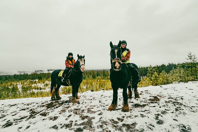 Small-Group Arctic Circle Horse Riding from Rovaniemi - Group Size and Atmosphere