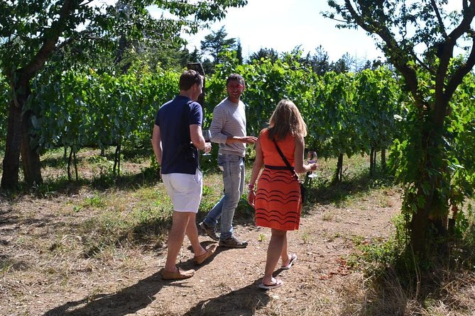 Small-Group Brunello Wine Tour of Montalcino from Florence - The Sum Up