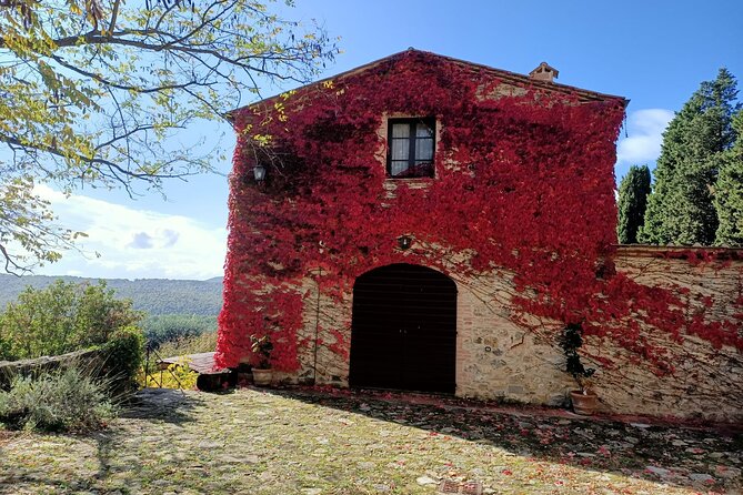 Small group Chianti, Montalcino & Monteriggioni castle from Siena - Final Thoughts: Who Is This Tour Best For?