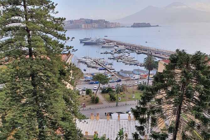 Small Group Naples City Sightseeing Tour - Who Should Consider This Tour?