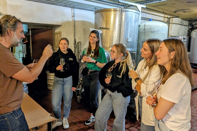 Small-group Vienna Wine Tour - Practical Details and Tips