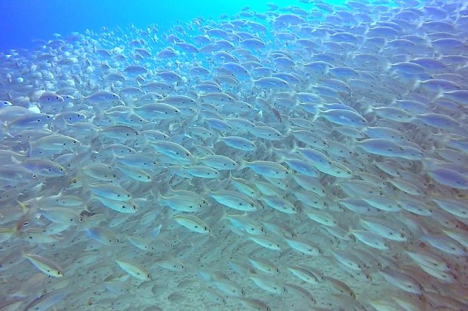 Snorkel Experience in Lanzarote - Post-Snorkel Refreshments and Relaxation