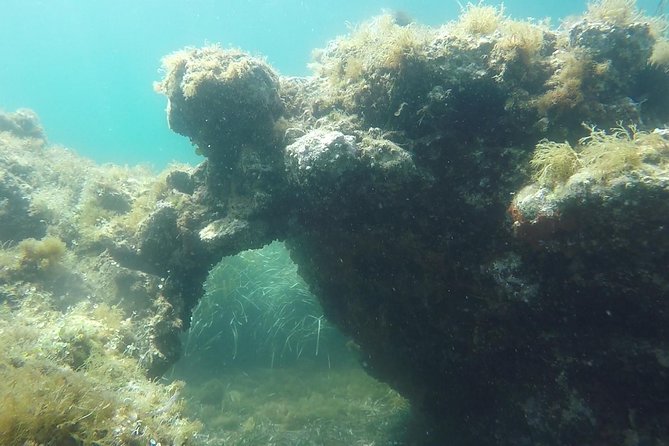 Snorkeling among the Underwater Caves of Ischia Ponte - FAQ