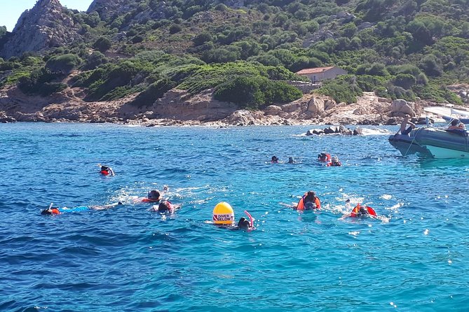 Snorkeling marine protected area Tavolara - The Value of the Experience