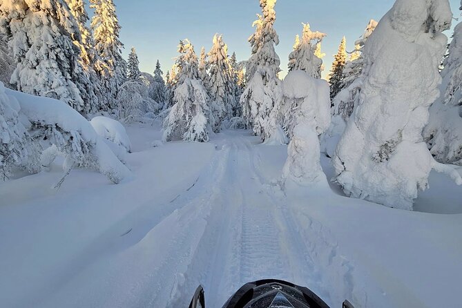 Snowmobile Tour with Small Group in Remote Wilderness 3 Hours - Practical Details & Considerations