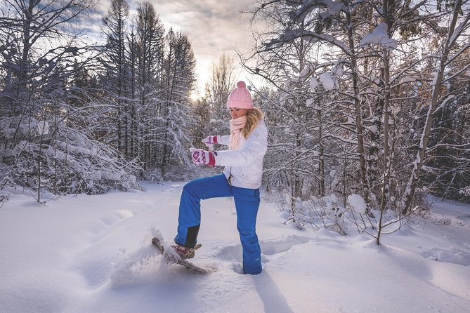 Snowshoeing Fun Tour from Cluj Napoca - Who Will Appreciate This Tour?
